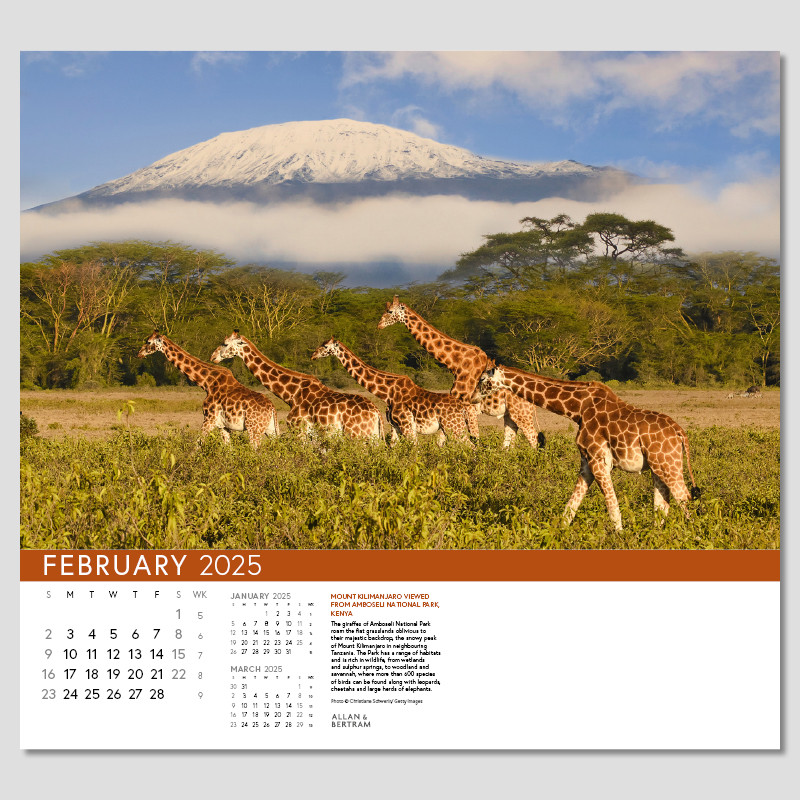 Explorer Business Wall Calendar - Made in Britain