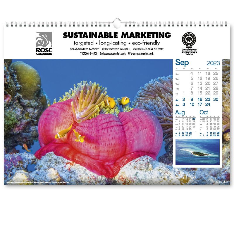 Deep Blue Calendar - Made in Britain