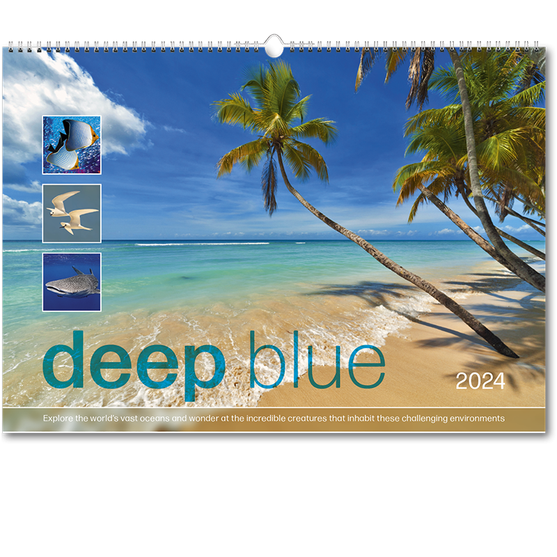 Deep Blue Calendar - Made in Britain